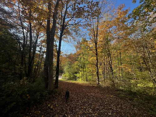 Best Hikes and Trails in Deerfield Wilderness Park | AllTrails