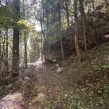 Bad Branch Trail, Kentucky - 192 Reviews, Map | AllTrails