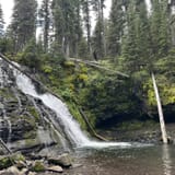 Grotto Falls Trail, Montana - 717 Reviews, Map | AllTrails