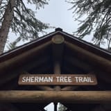 General Sherman Tree Trail, California - 2,623 Reviews, Map | AllTrails