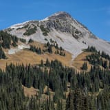 Panorama Ridge, British Columbia, Canada - 2,368 Reviews, Map | AllTrails