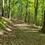 Rimrock Overlook Trail, Pennsylvania - 499 Reviews, Map | AllTrails