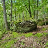 Rimrock Overlook Trail, Pennsylvania - 499 Reviews, Map | AllTrails