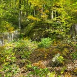 Rimrock Overlook Trail, Pennsylvania - 499 Reviews, Map | AllTrails