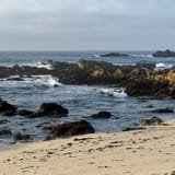 Asilomar State Beach and Coast Trail, California - 913 Reviews, Map ...