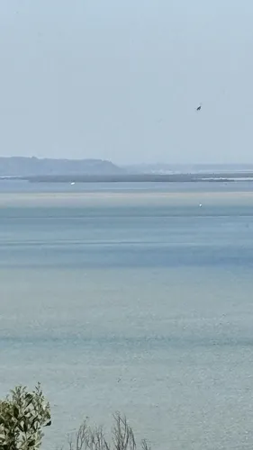 Best Hikes and Trails in Anderson Inlet Coastal Reserve | AllTrails