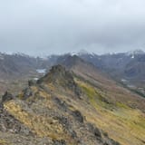 Wolverine Peak via Basher Trail, Alaska - 707 Reviews, Map | AllTrails
