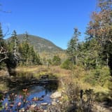 Cascade Brook Trail to Lonesome Lake, New Hampshire - 702 Reviews, Map ...
