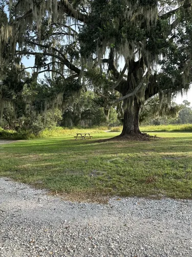 Best Hikes and Trails in McIntosh Preserve | AllTrails