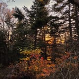 Haystack Mountain Trail, Vermont - 1,877 Reviews, Map | AllTrails