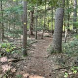 Beaver Brook Trail, Eastman Meadow Trail, and Maple Hill Ridge Loop ...