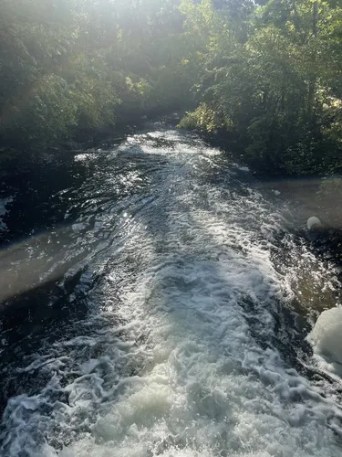 Best Hikes and Trails in Drayton Plains Nature Center | AllTrails