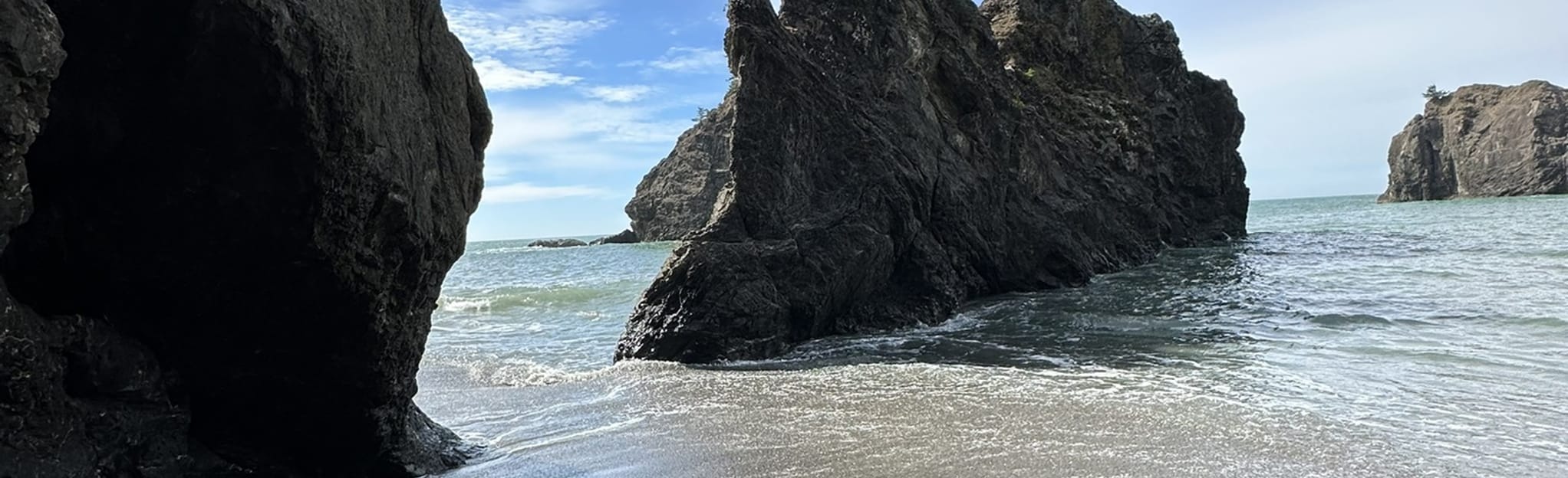 Secret Beach Trail, Oregon - 1,121 Reviews, Map | AllTrails