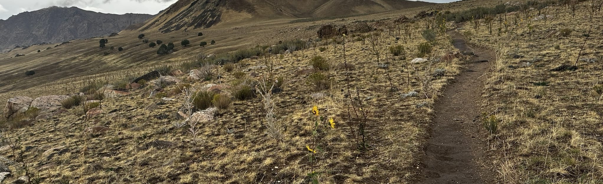 The Sentry Loop, Utah - 323 Reviews, Map | AllTrails