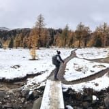 Healy Pass and Simpson Pass Loop, Alberta, Canada - 330 Reviews, Map ...