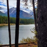 Johnson Lake, Alberta, Canada - 1,578 Reviews, Map | AllTrails