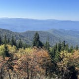 Mount Buckley via Clingmans Dome Bypass Trail, North Carolina - 886 ...