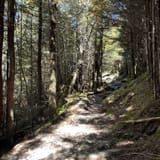 Mount Buckley via Clingmans Dome Bypass Trail, North Carolina - 886 ...