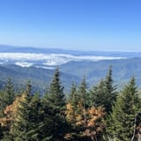 Mount Buckley via Clingmans Dome Bypass Trail, North Carolina - 886 ...