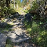 Mount Buckley via Clingmans Dome Bypass Trail, North Carolina - 886 ...