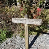 Mount Buckley via Clingmans Dome Bypass Trail, North Carolina - 886 ...
