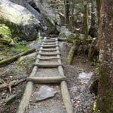 Mount Buckley via Clingmans Dome Bypass Trail, North Carolina - 886 ...