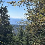 Mount Buckley via Clingmans Dome Bypass Trail, North Carolina - 886 ...