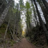 Iron Goat Trail, Washington - 1,334 Reviews, Map | AllTrails