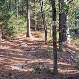 Coon Ridge Trail, Oklahoma - 357 Reviews, Map | AllTrails