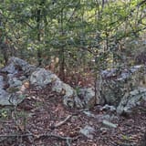 Coon Ridge Trail, Oklahoma - 357 Reviews, Map | AllTrails