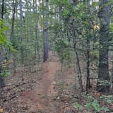 Coon Ridge Trail, Oklahoma - 357 Reviews, Map | AllTrails