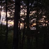 Hoye Crest (Backbone Mountain), West Virginia - 578 Reviews, Map ...