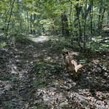 Cumberland Monastery Trail, Rhode Island - 1,849 Reviews, Map | AllTrails