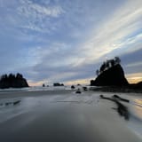 Second Beach, Washington - 1,557 Reviews, Map | AllTrails