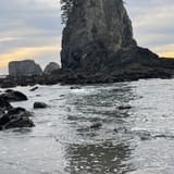 Second Beach, Washington - 1,557 Reviews, Map | AllTrails