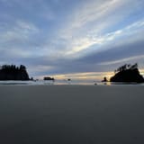 Second Beach, Washington - 1,606 Reviews, Map | AllTrails