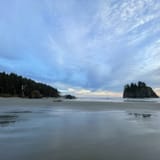 Second Beach, Washington - 1,606 Reviews, Map | AllTrails