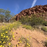 Johnson Canyon Trail, Utah - 854 Reviews, Map | AllTrails