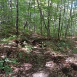 Mount Cube via the Appalachian Trail, New Hampshire - 508 Reviews, Map ...