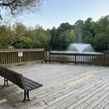 Deep Run Park Trails, Virginia - 1,306 Reviews, Map | AllTrails
