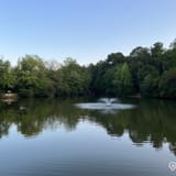 Deep Run Park Trails, Virginia - 1,306 Reviews, Map | AllTrails