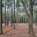 Deep Run Park Trails, Virginia - 1,306 Reviews, Map | AllTrails