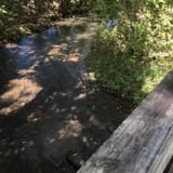 Erwin Linear Trail, Tennessee - 125 Reviews, Map | AllTrails