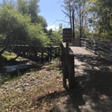 Erwin Linear Trail, Tennessee - 125 Reviews, Map | AllTrails