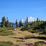 Mount Forgotten Meadows Trail, Washington - 353 Reviews, Map | AllTrails