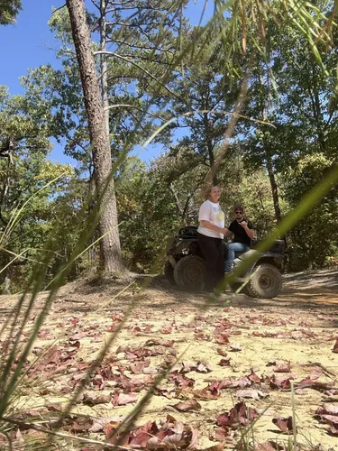 Best Off Road Driving Trails in Prentice Cooper State Forest | AllTrails