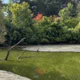 High Park Loop, Ontario, Canada - 874 Reviews, Map | AllTrails