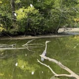 High Park Loop, Ontario, Canada - 874 Reviews, Map | AllTrails