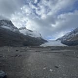 Forefield Trail of the Athabasca Glacier, Alberta, Canada - 281 Reviews ...