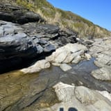Beavertail Lighthouse Loop, Rhode Island - 775 Reviews, Map | AllTrails